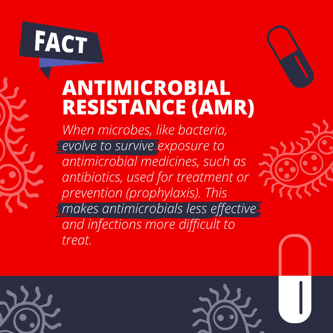 Discussion: Antimicrobial resistance in conflict-affected settings ...