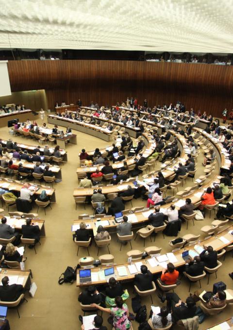 MSF at the 77th World Health Assembly | MSF Access