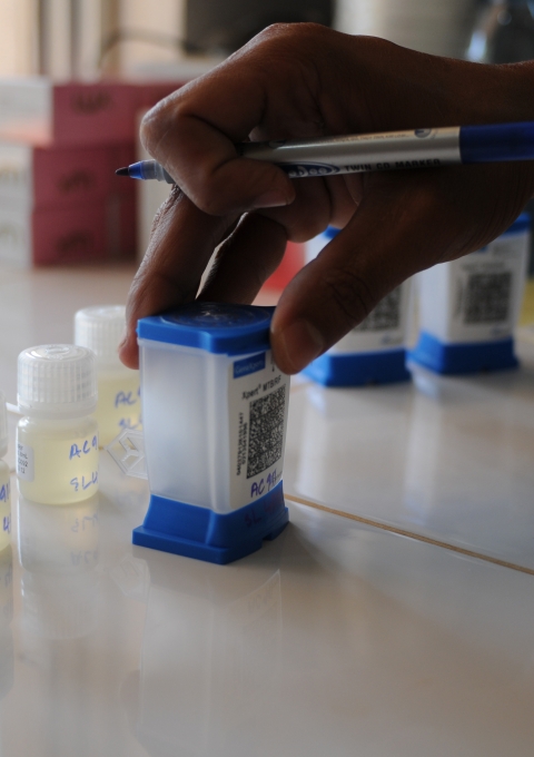 Belarus: National TB Programme letter to Danaher to reduce the price of ...